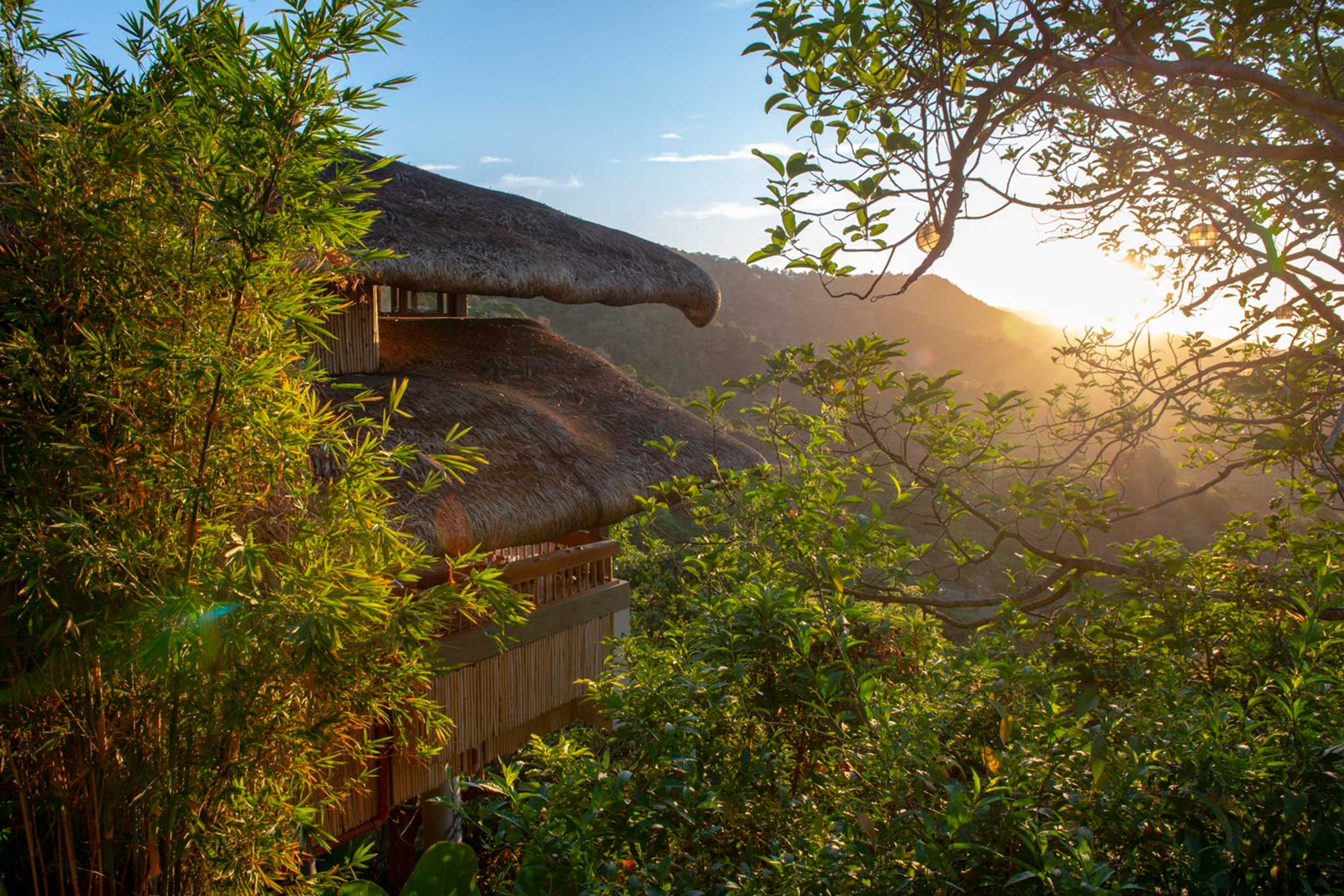 Gallery - Narra Hill