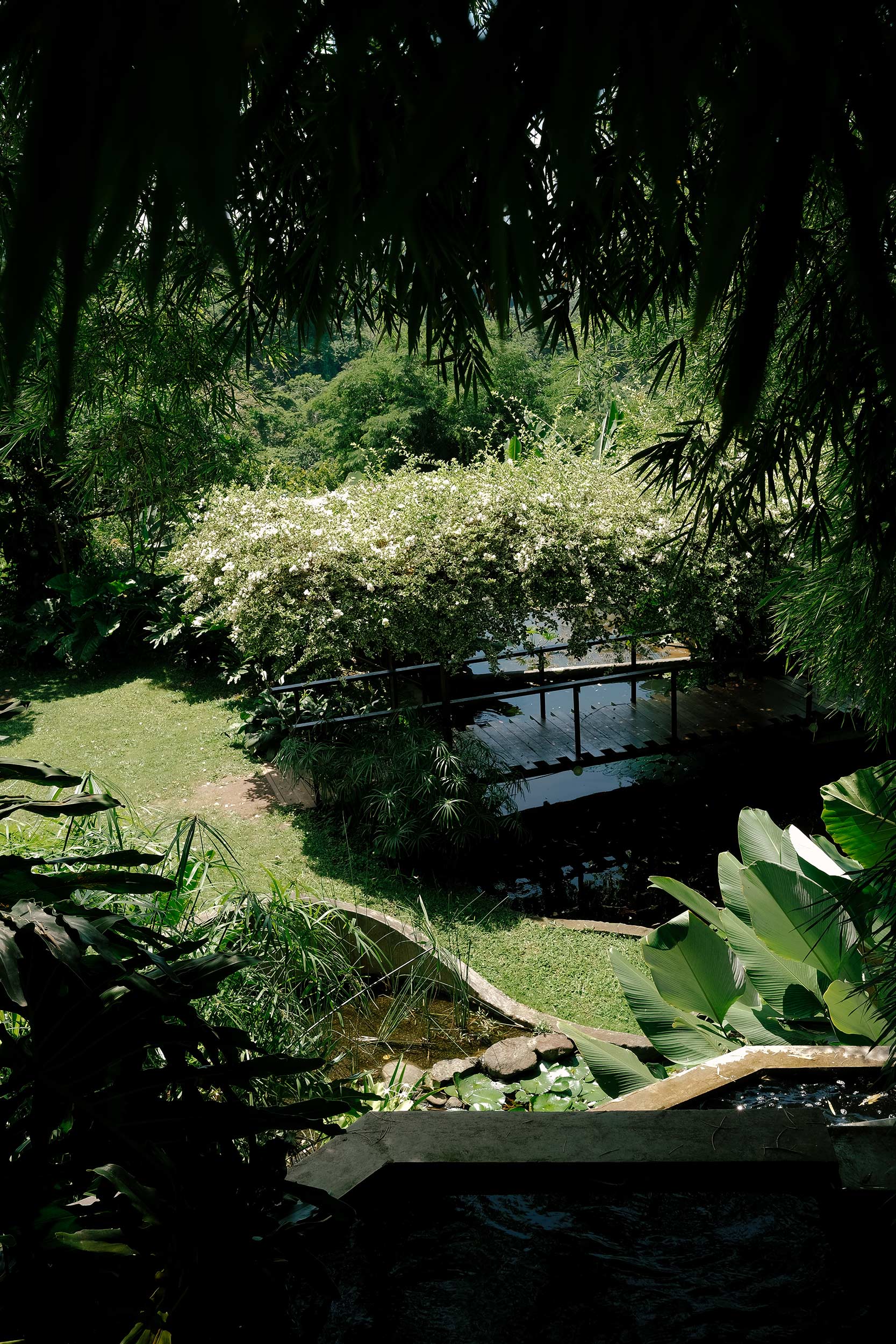 Weddings at Narra Hill